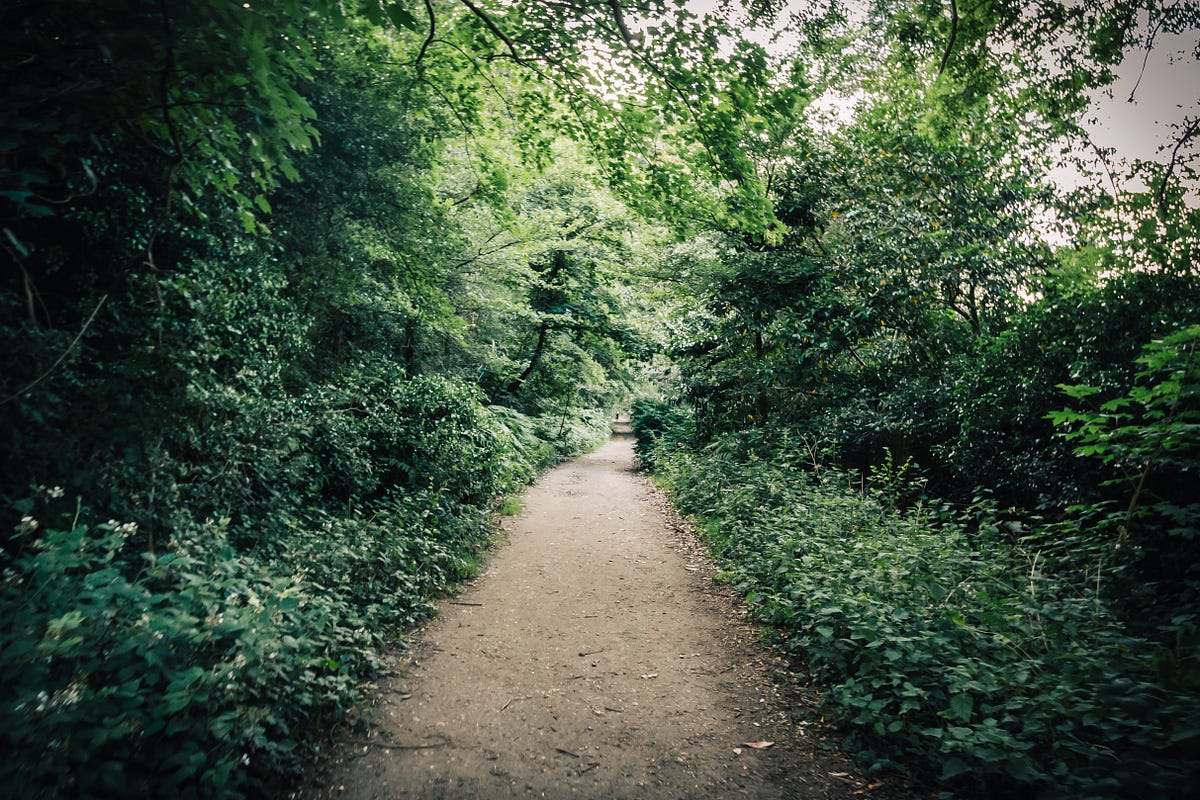 Morning Walks = Amazing.. Photo by Amy Burgess on Unsplash | by Warren ...