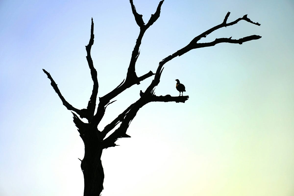 Contemplating the Future of Today | Soul Attitudes