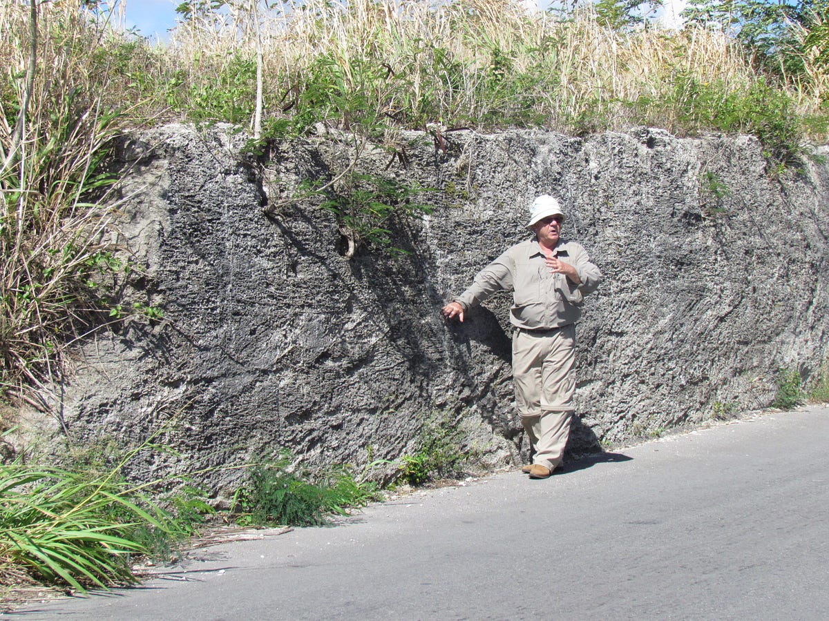 Day 6: An Introduction to Barbados’ Unique Geological History | by ...