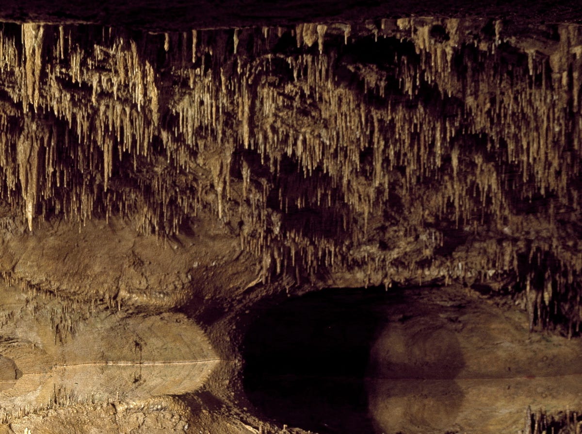 In the Cave of Rights. Everyone is using rights to provide… | by ...
