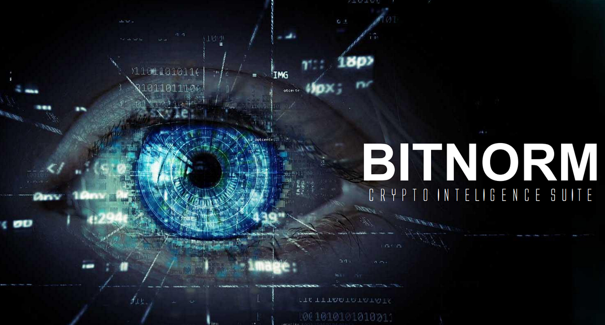 BITNORM - A TOP-NOTCH PLATFORM GIVING CLIENTS FEASIBLE DATA AND A ...