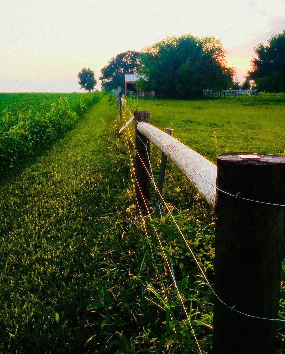 Goodbye, Hello. It feels like a lifetime since my… | by Lou Heneise ...