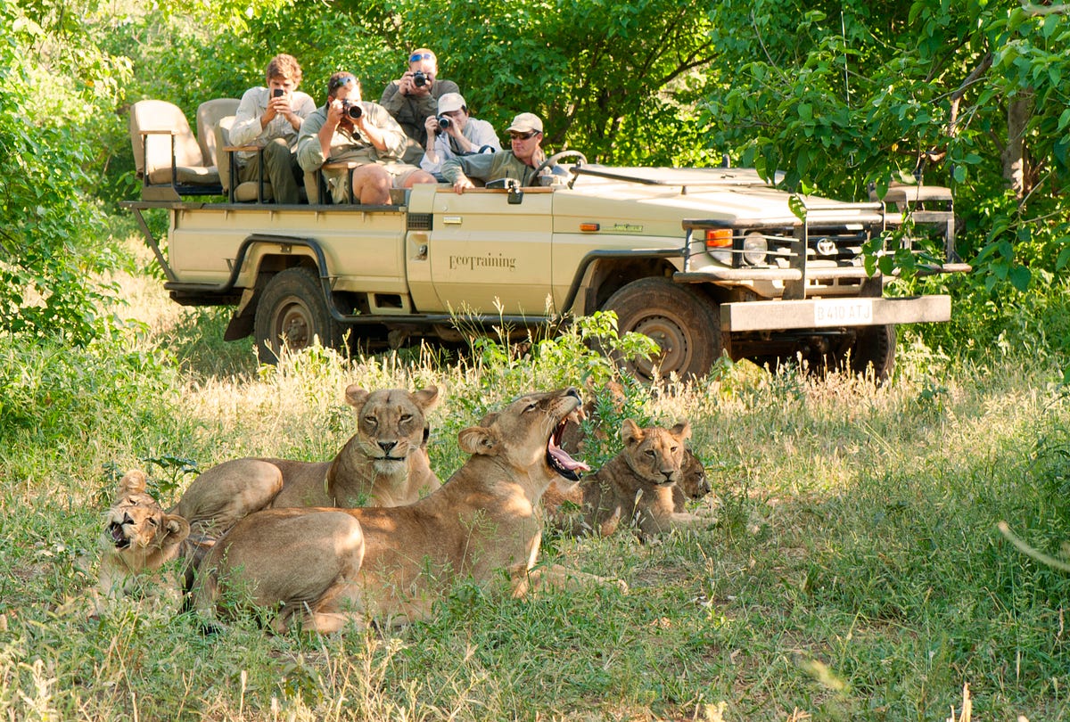 What to expect from the one-year Professional Field Guiding course with ...