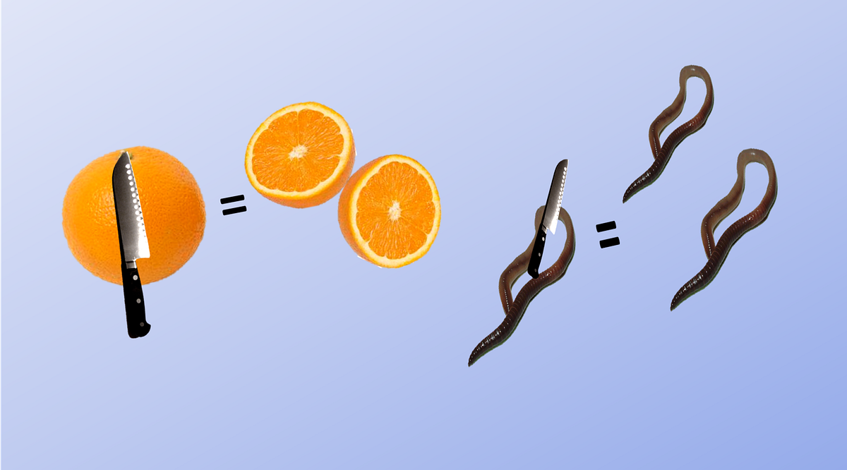 WHERE 1x1=2 AND SAME 1x1=1. Recently in the internet, I came across ...