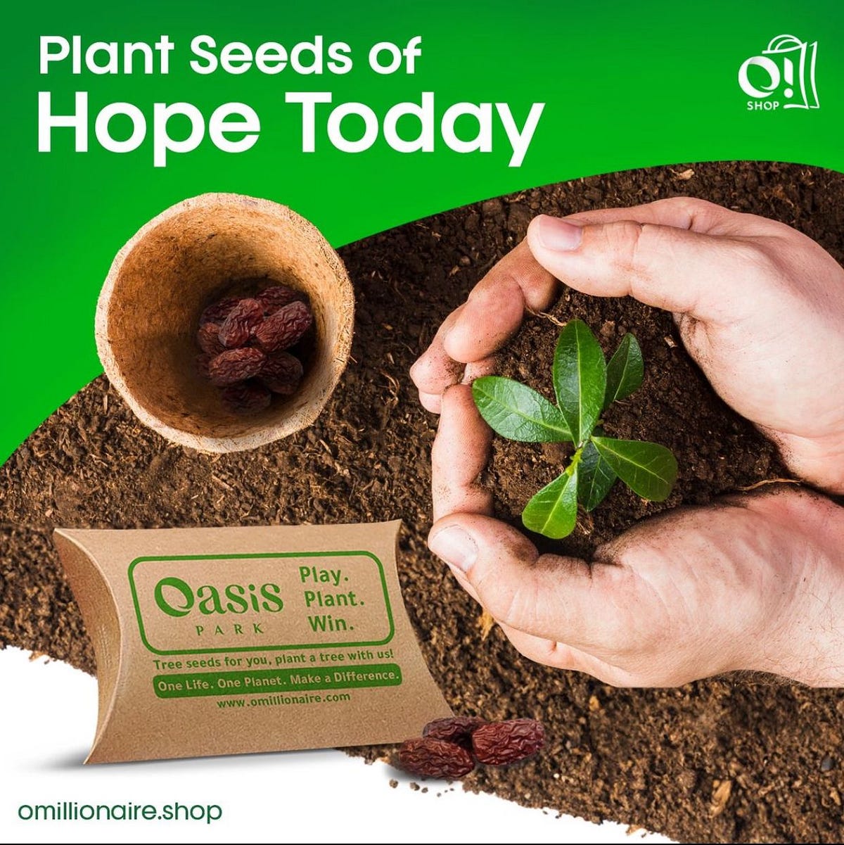 Planting Hope: Cultivate Your Own Oasis with O! Millionaire’s Wild ...