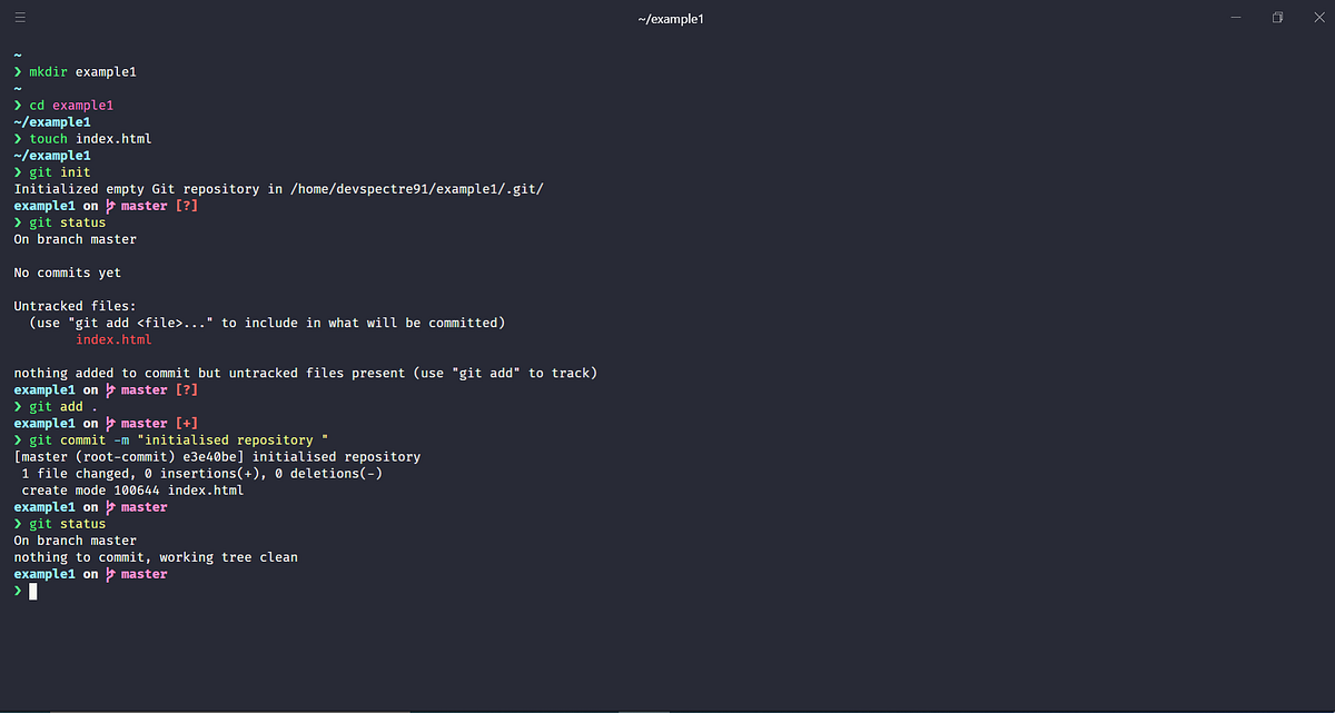 Beautify your Linux Terminal: Ohmyzsh+wsl+Hyper.js! | by Devanshu ...