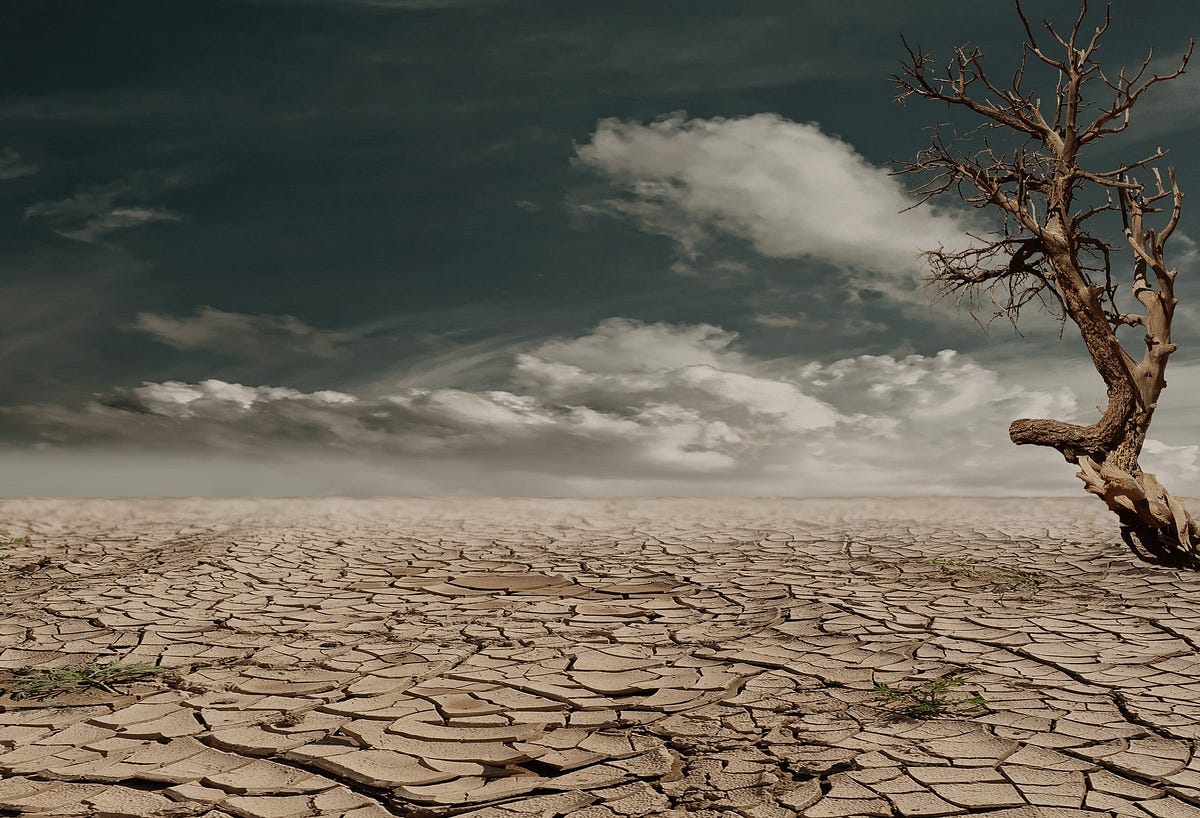 Climate Change: Causes and Impact on Life on Earth | by Khusni Ja'far ...