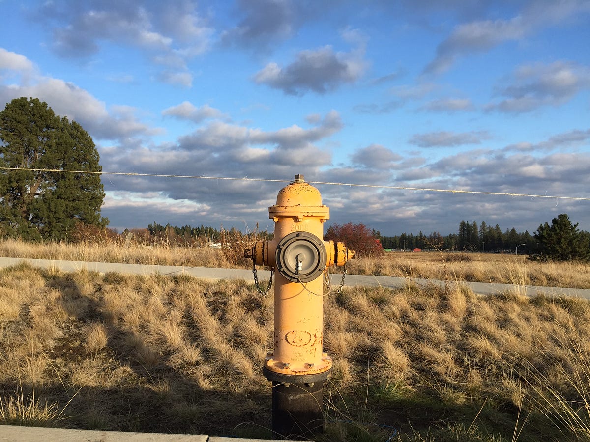 Running Twine — Oct-Dec 2015. Gary talked about how plastic twine… | by ...
