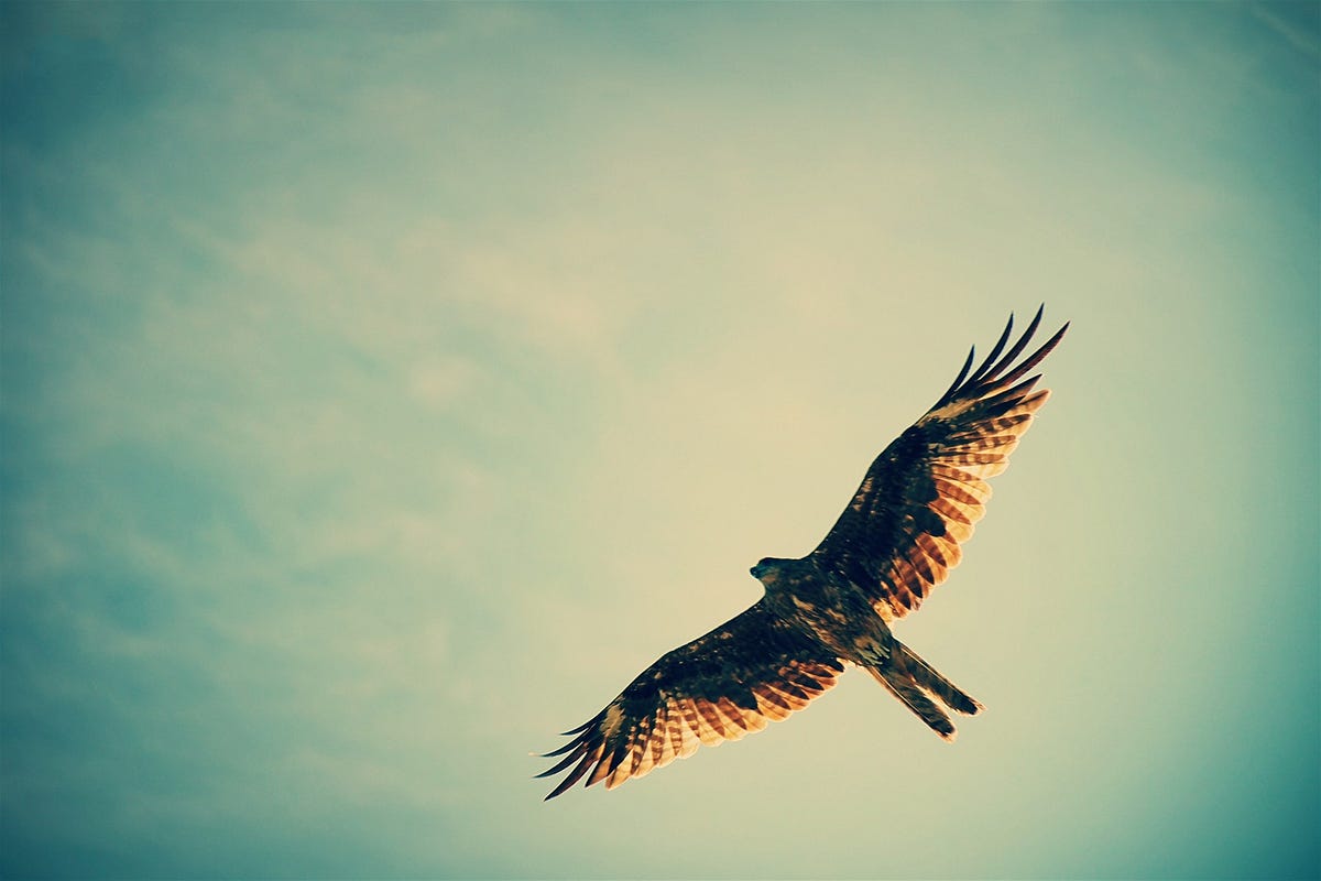 Let Your Code Fly. Not long ago my boss asked me to take a… | by Aviel Gross | Medium
