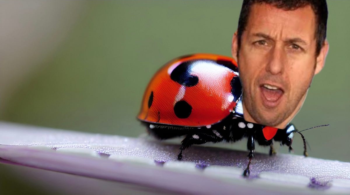 ‘Honey, I Turned Myself Into a Ladybug’: The Masterpiece Sequel That ...