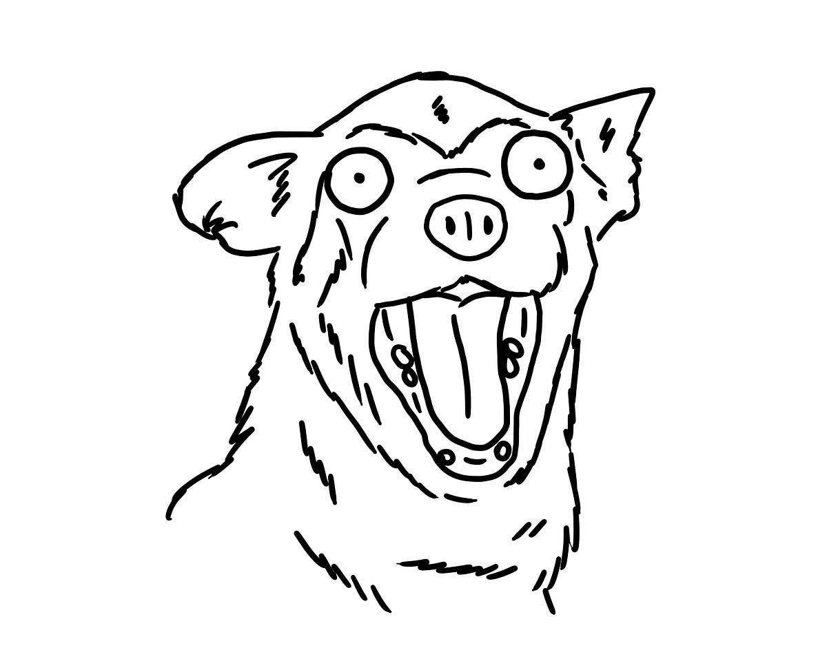 A Dog Named Bongo. The small dog that never learned to… | by Max N ...