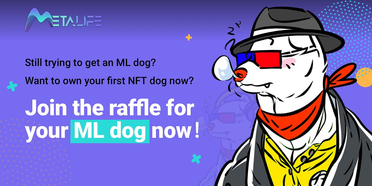 Get a Interactive NFT with MetaLife.social! | by Rangga Ilham | Medium