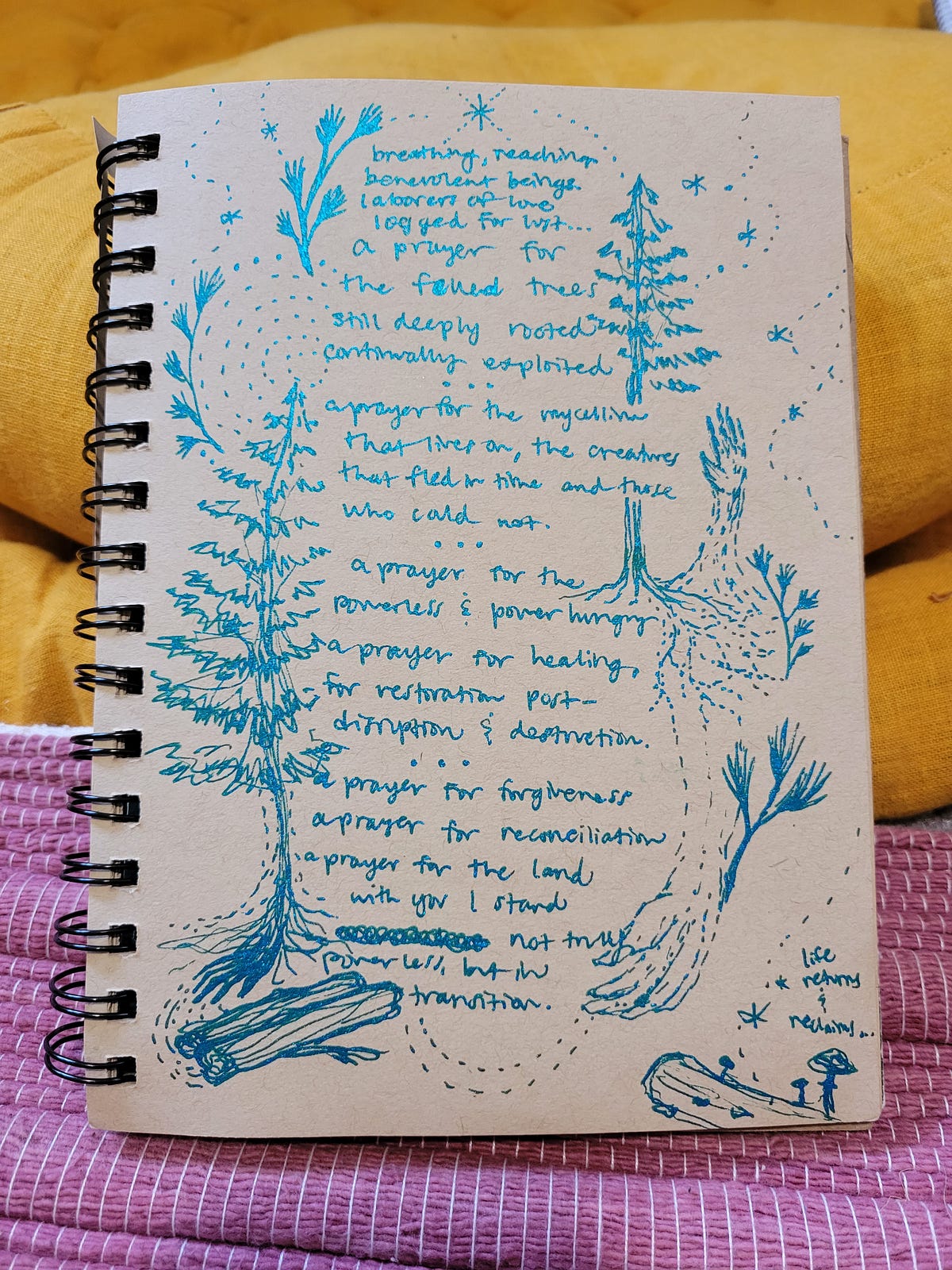 a prayer for felled trees - rachael amber - Medium