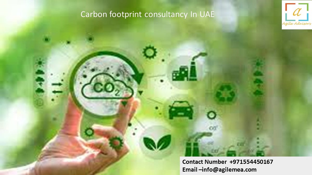 The Relationship Between Carbon Footprints and Consumer Choices | by ...