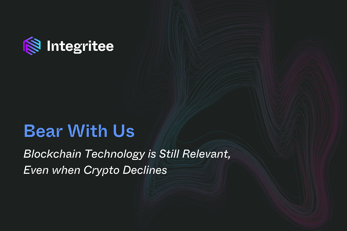 Bear With Us: Blockchain Technology is Still Relevant, Even when Crypto Declines | by Integritee ...
