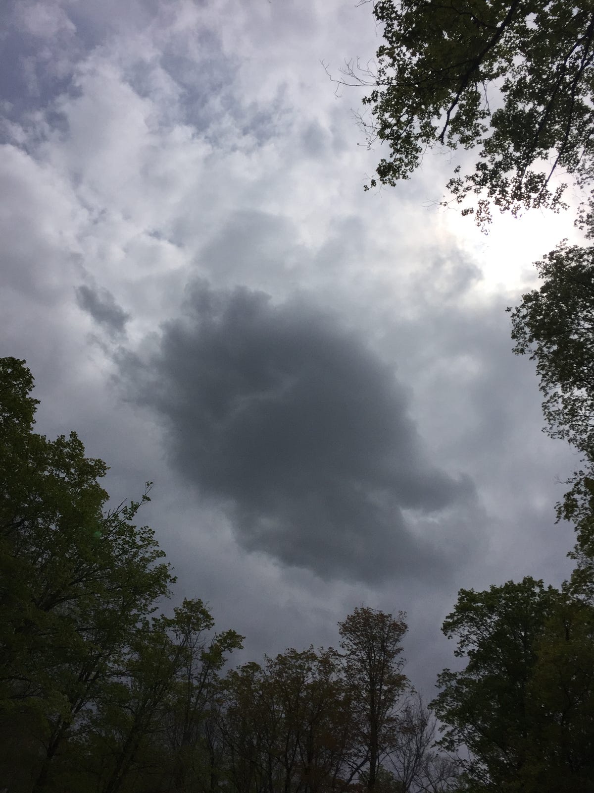 Ring and Run. Dreams, recipes, links, unsent tweets… | by Alexander ...