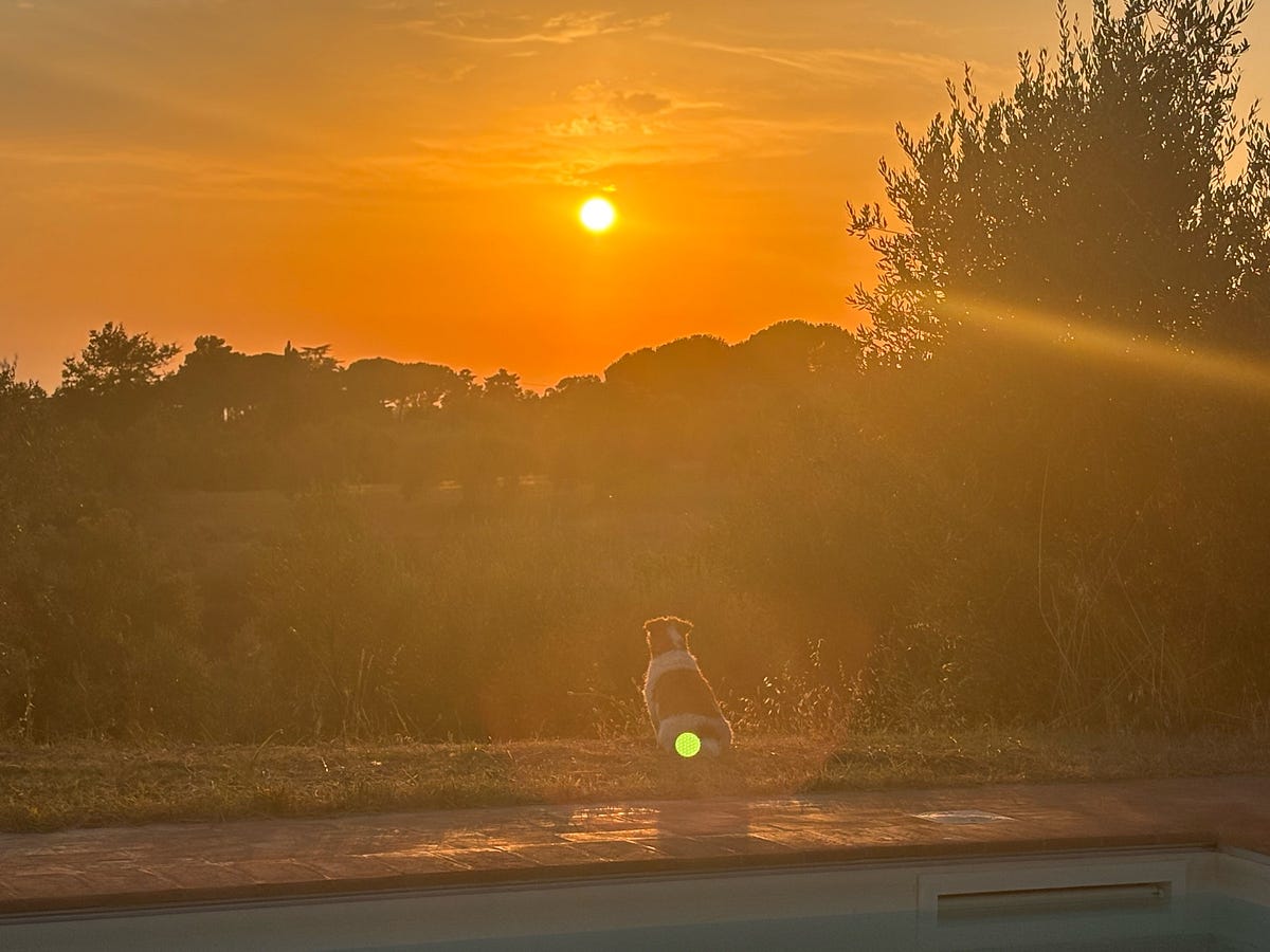 A Year of Slow Travel Through House Sitting and Work Exchange | by ...
