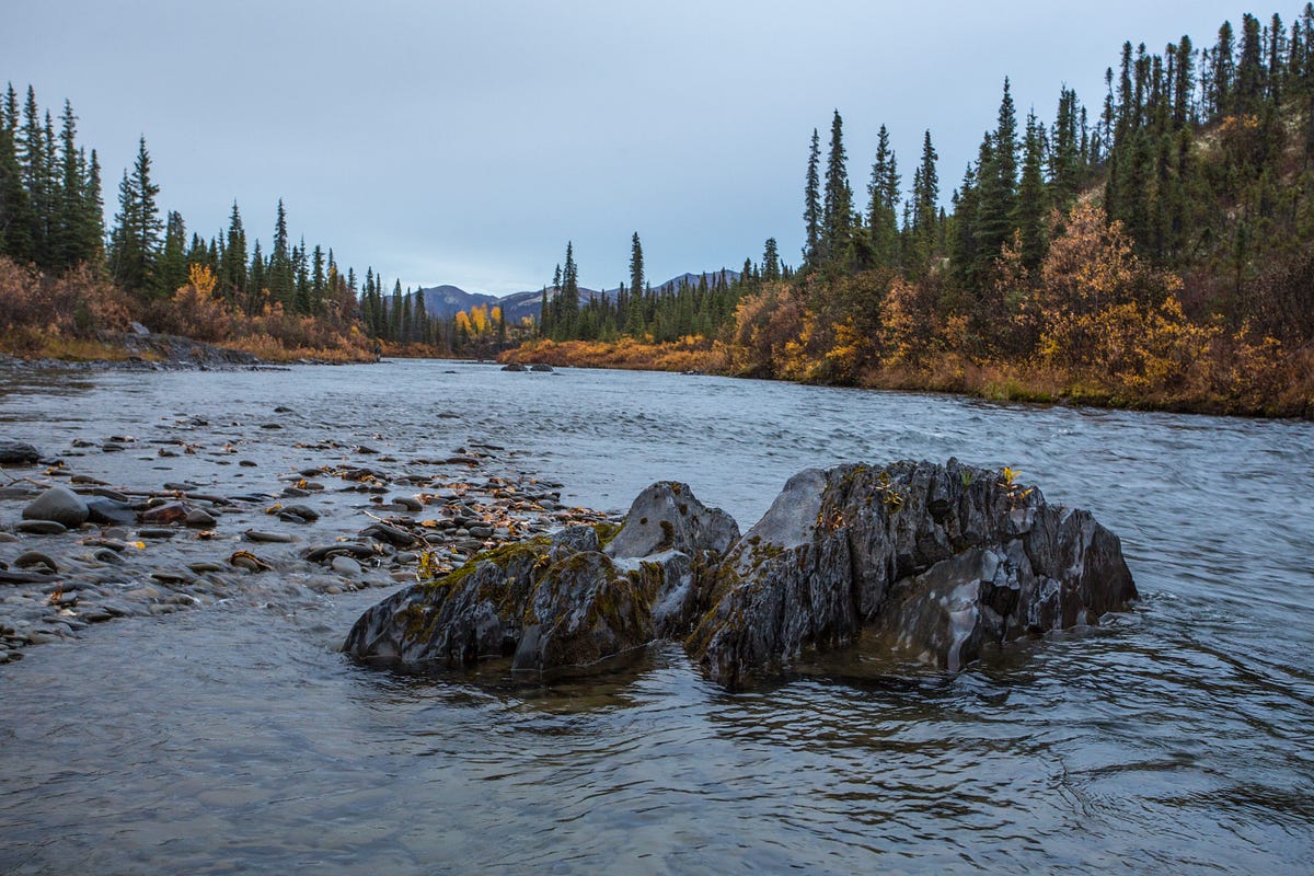 Proposal Threatens Millions of Acres of Alaska Watersheds and Tribal ...
