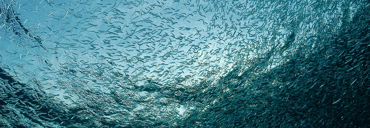 Auto Scaling Your Long Running Workloads On Kubernetes With Keda V2