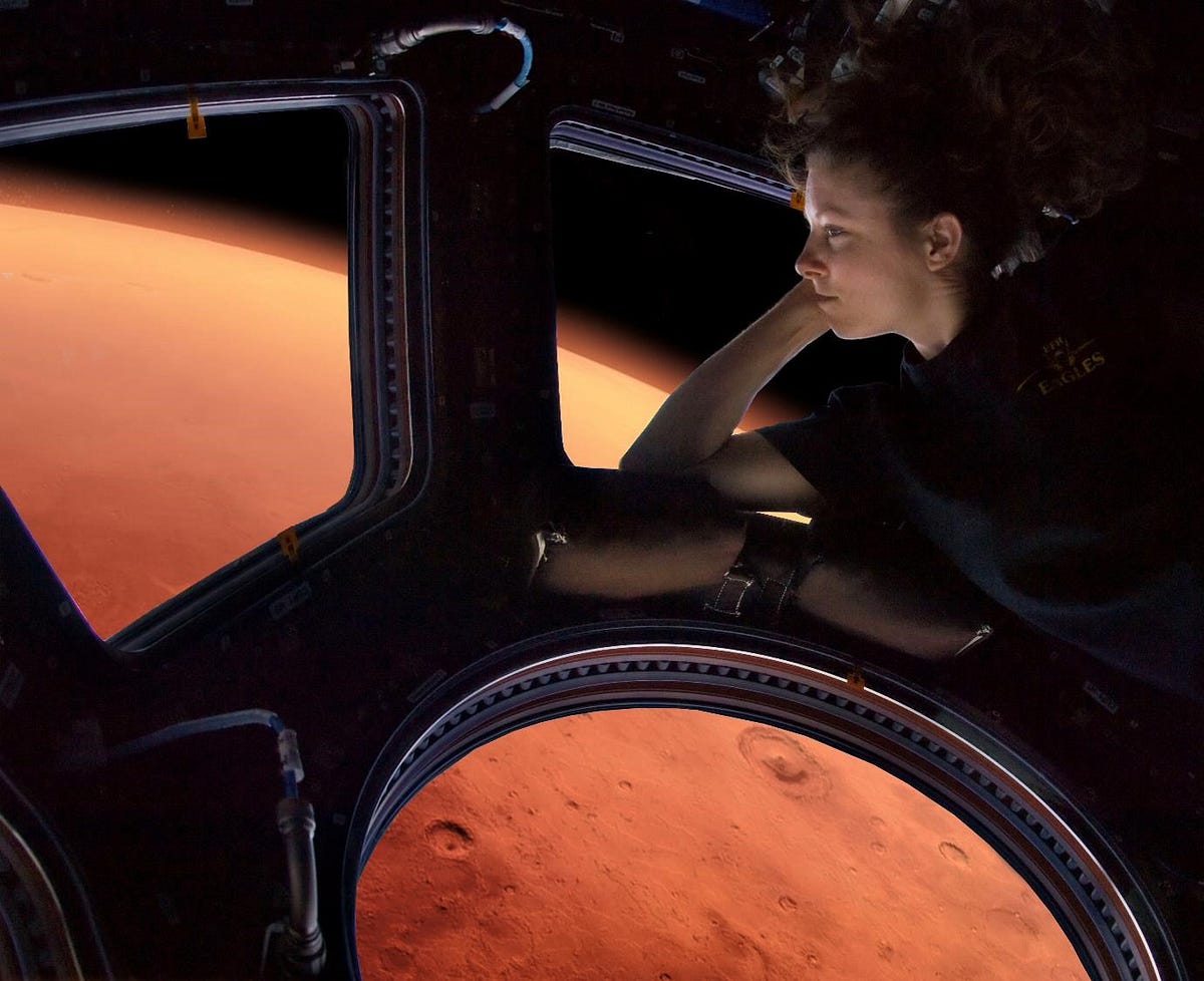Human Mission to Mars: Lessons from COVID-19 | by Red Planet Dispatch ...