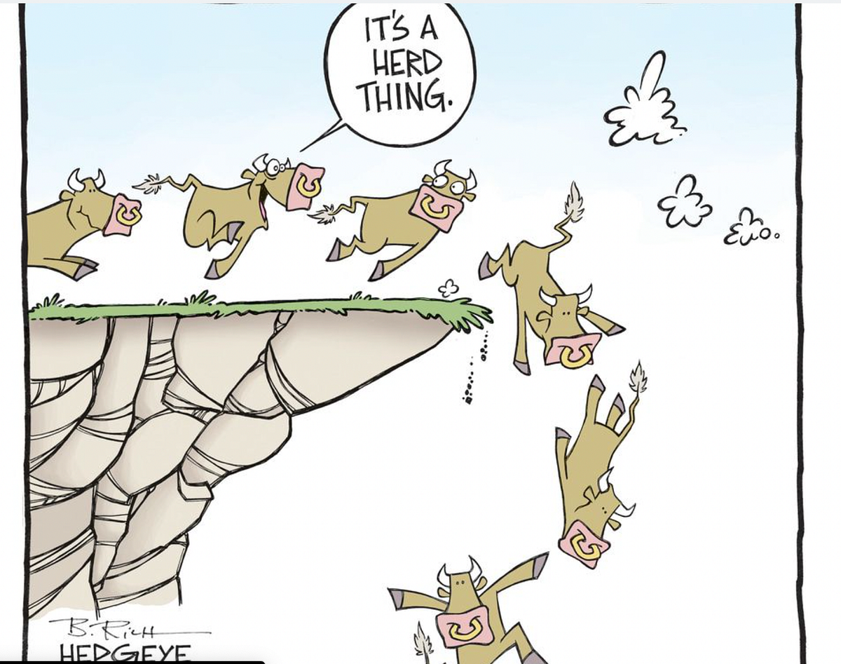 The Herd Mentality. A concept that really stood out to me… | by Josh ...