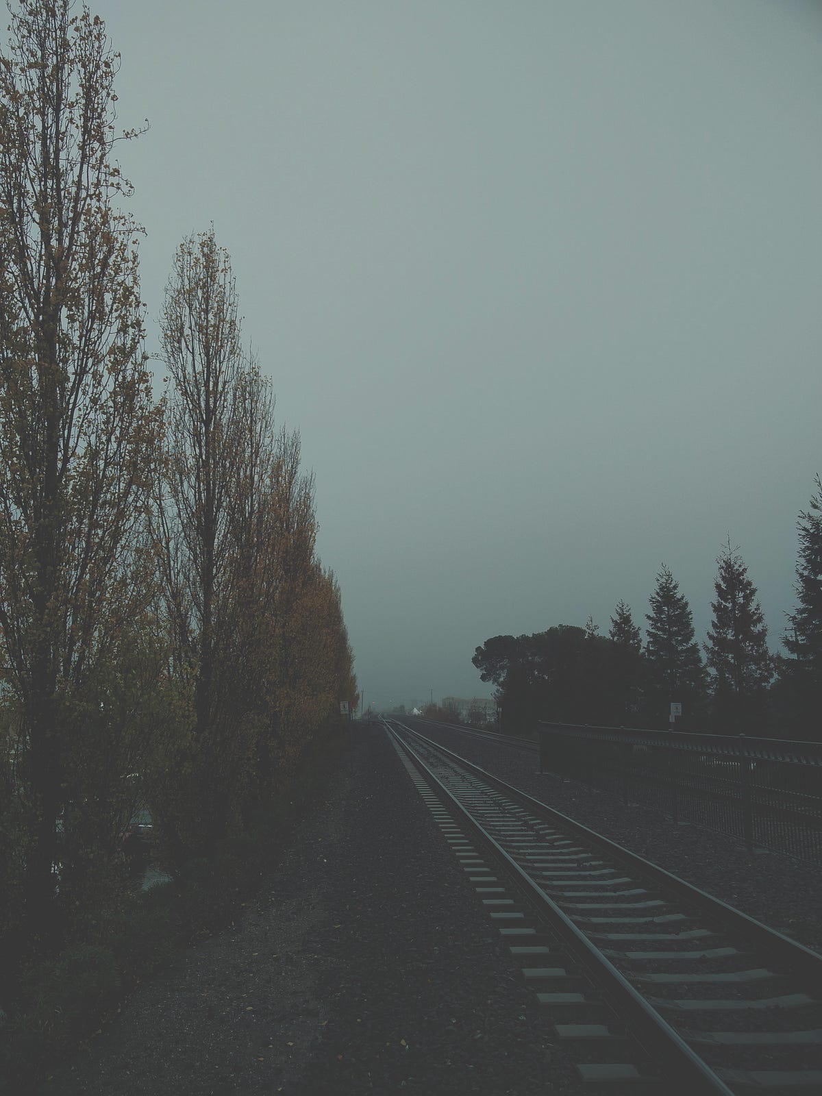 The Night Train Called Life. She had a pale skin, set off by shiny ...