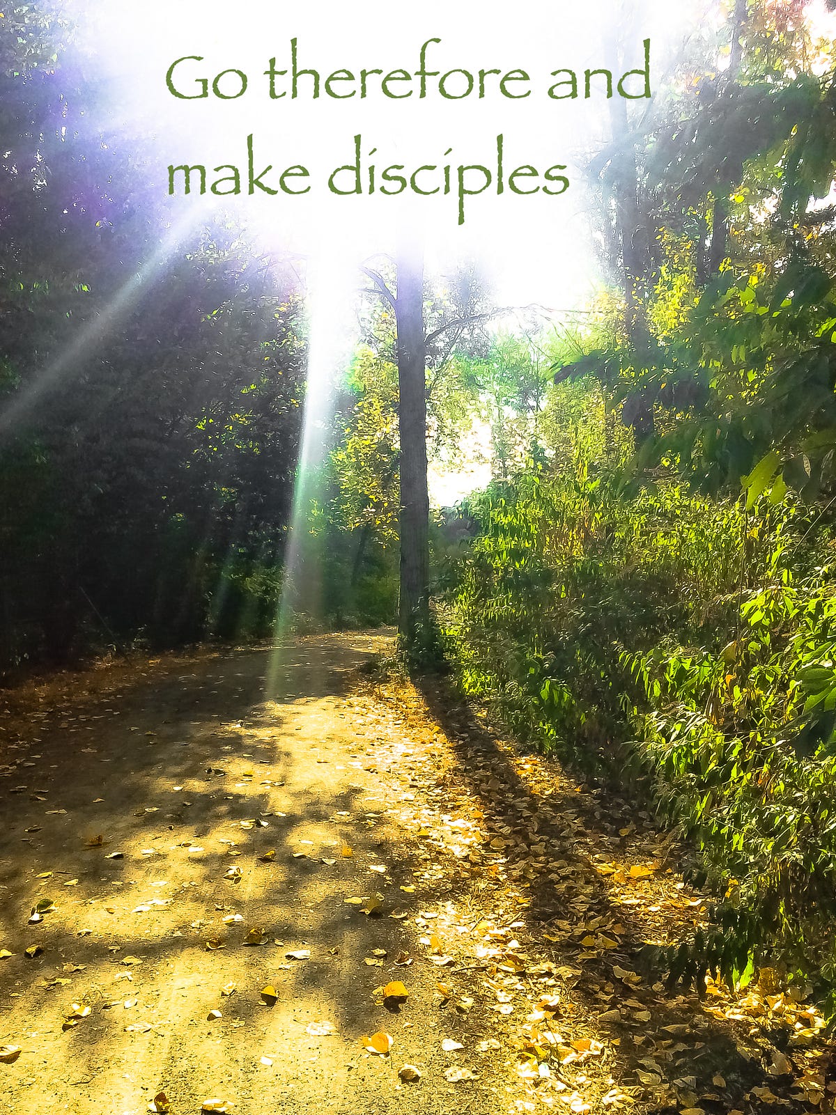 Disciple Making: Job of a Lifetime | by Reid Fowler | Medium