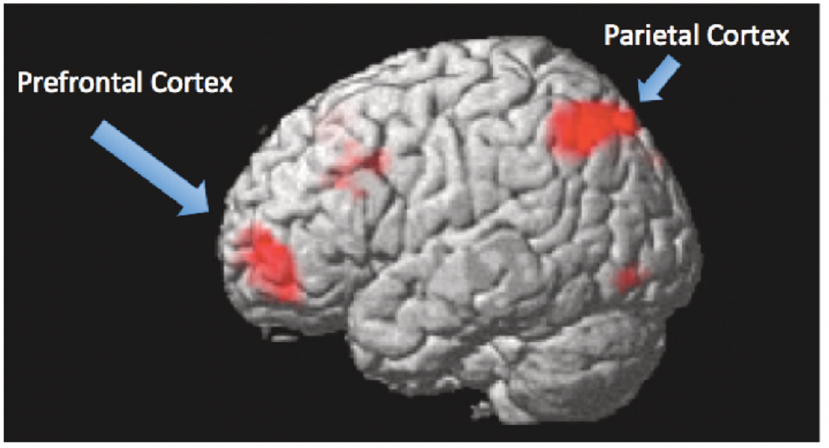 Reasoning As Memory. I think our brain first encodes… | by Farshad ...