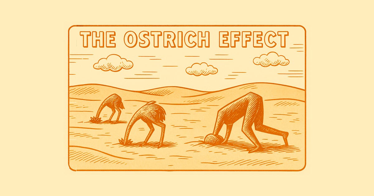 From Avoidance to Awakening: How the Ostrich Effect Hinders Growth ...