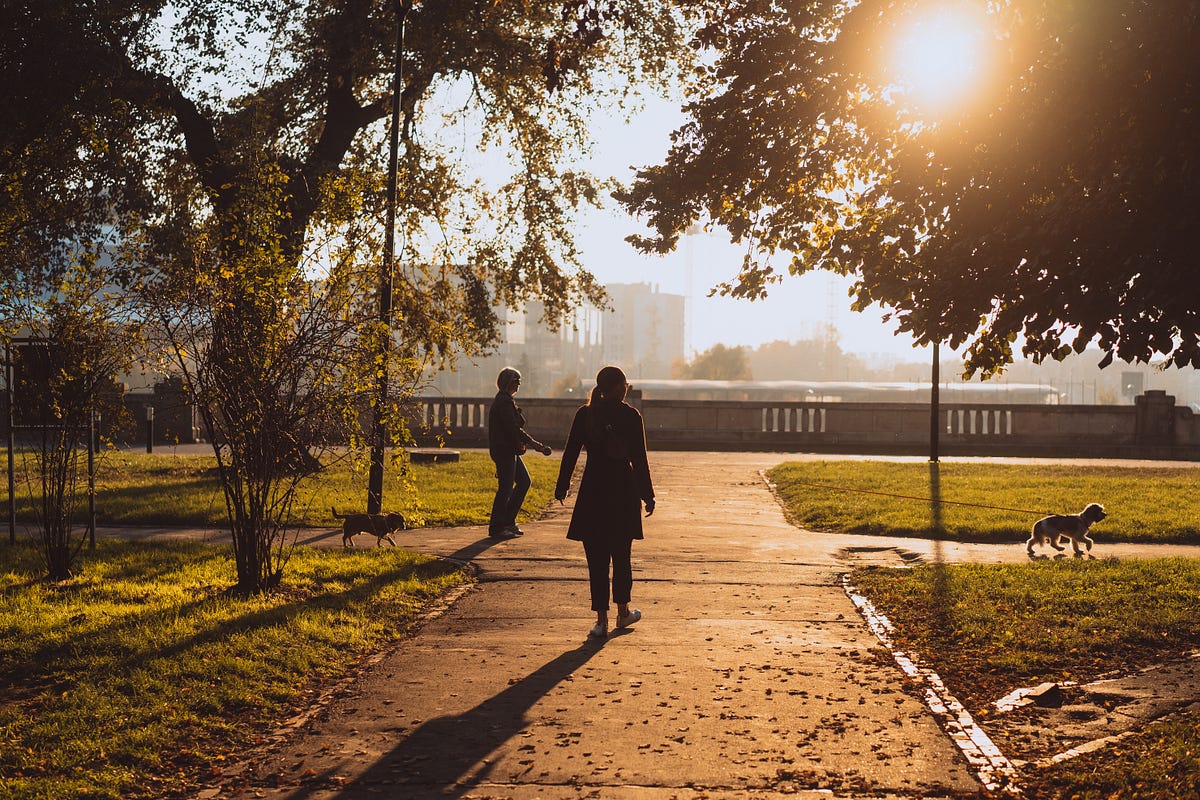 The Many Benefits of a Morning Walk | by Moeez | Medium
