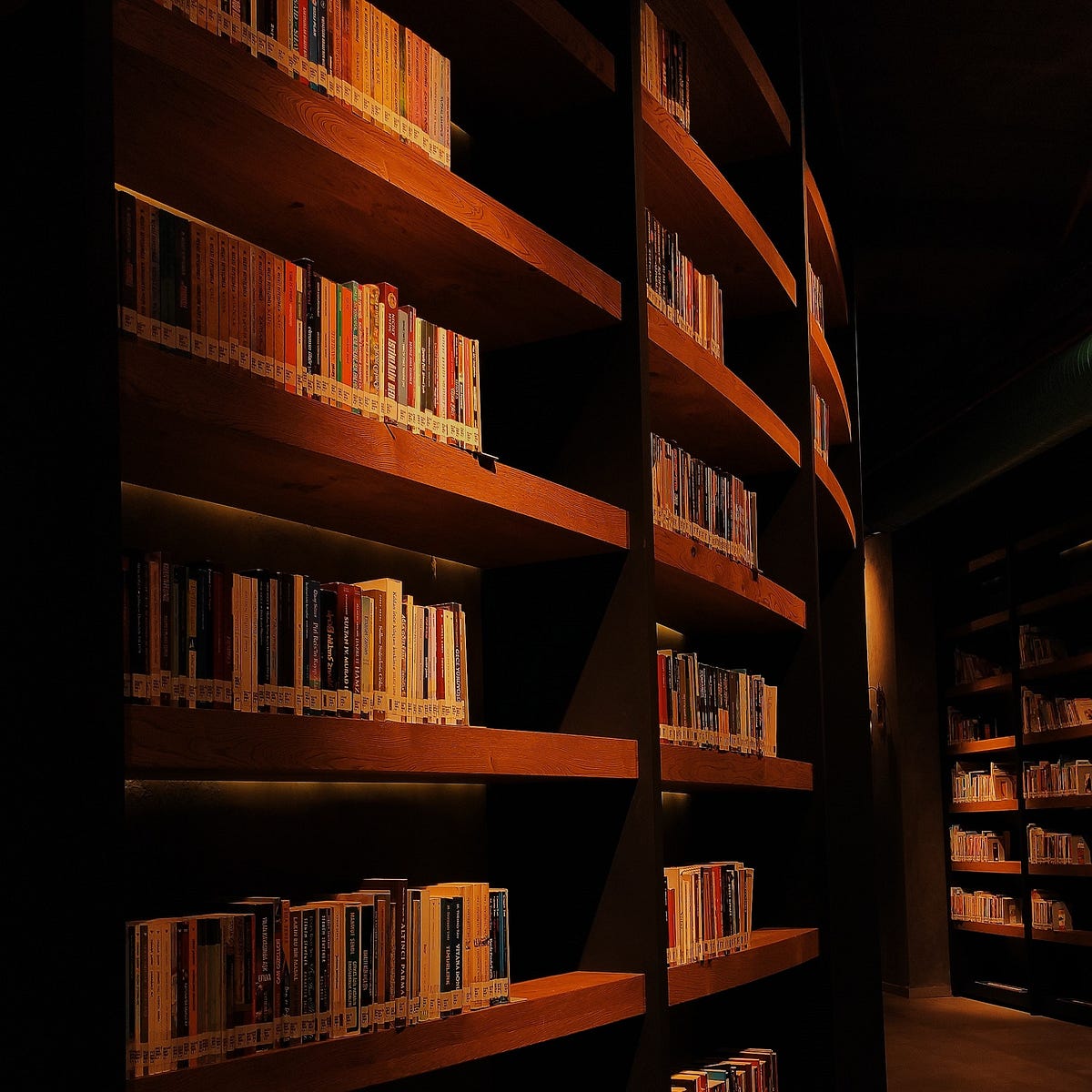Books for Taurus Season | By 8th & Poppy | Medium