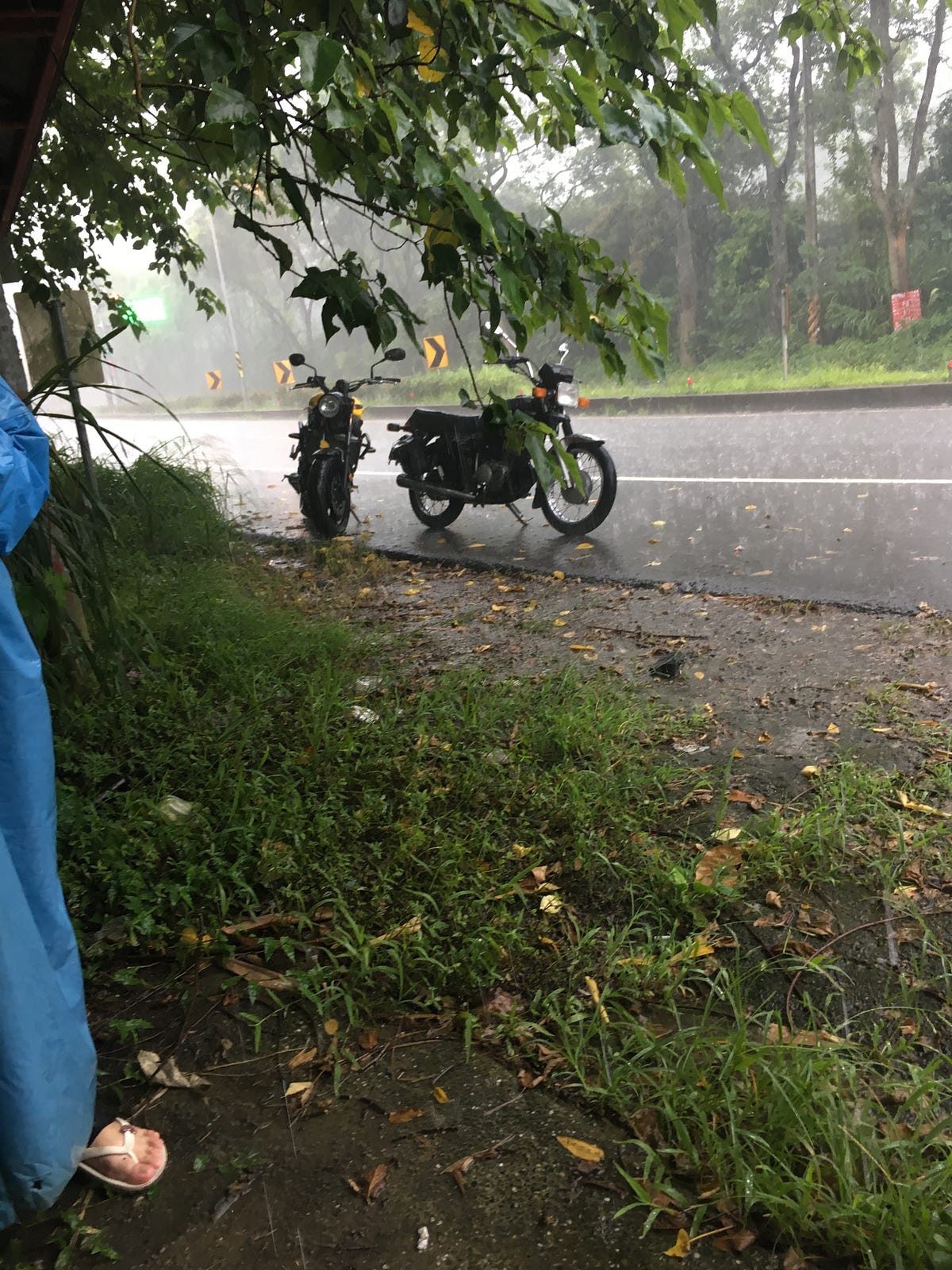 [種雜談] 聊天不是學術研究. 靈感來源：https://disp.cc/b/163-aLqR | by Seedr | Medium