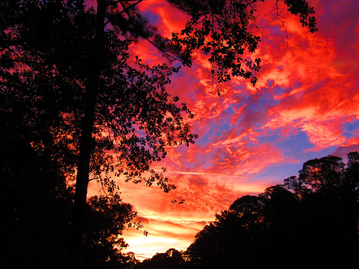 Heart of Dusk. An evening poem | by Dennett | SNAPSHOTS | Medium