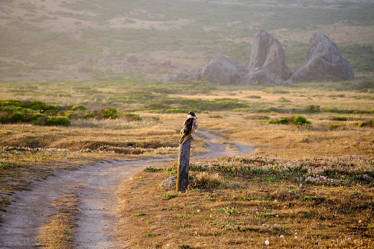 Where We Should Be | It's Where We Need To Be | Know Thyself, Heal Thyself