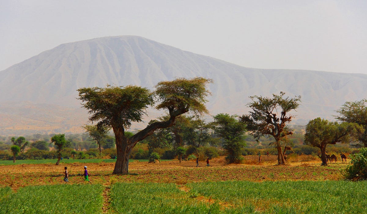 The Slow Travel Manifesto. By Elaina Elizabeth | by ZADY | Medium