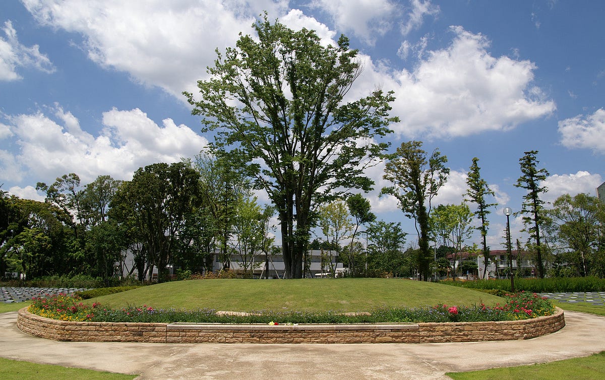 Are “Tree Burials” the Graves of Japan’s Dreams? | by IGNITION Staff ...