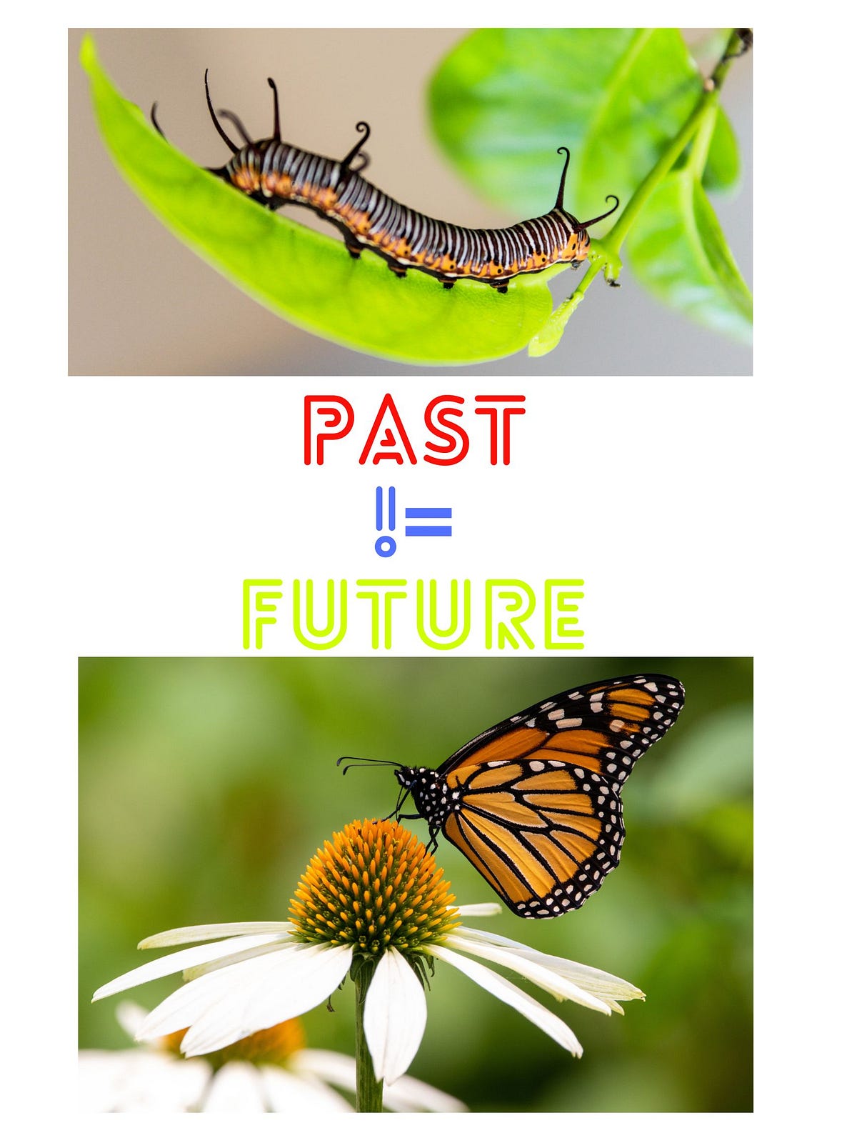 Why do we let our past control our future and how can we change it ...