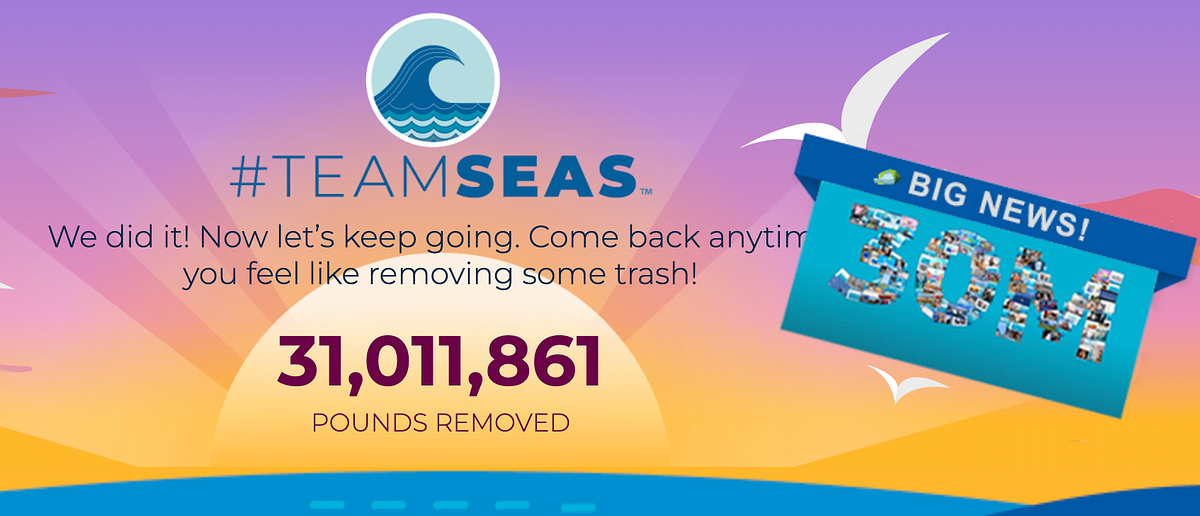 #TeamSeas: A Viral Ocean Cleanup Campaign | by Earth Forward Group | Medium