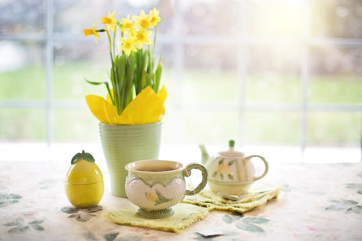 Be Kind to Yourself This Spring. The season is changing. The sun has ...