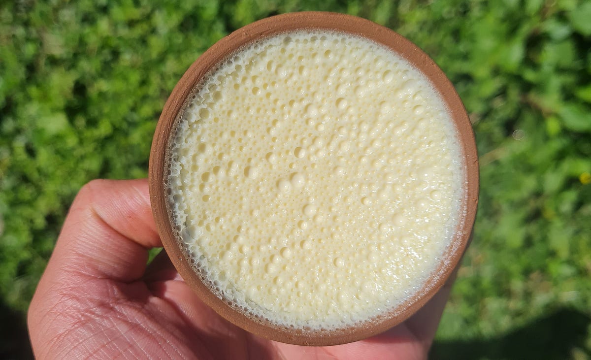 Juju Dhau : A Local Delicacy | by Sichuse Delights | Medium