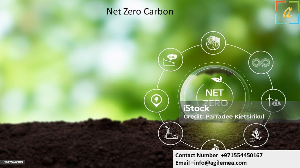 Benefits of establishing a net zero company | by Esgconsultantintern | Mar, 2024 | Medium