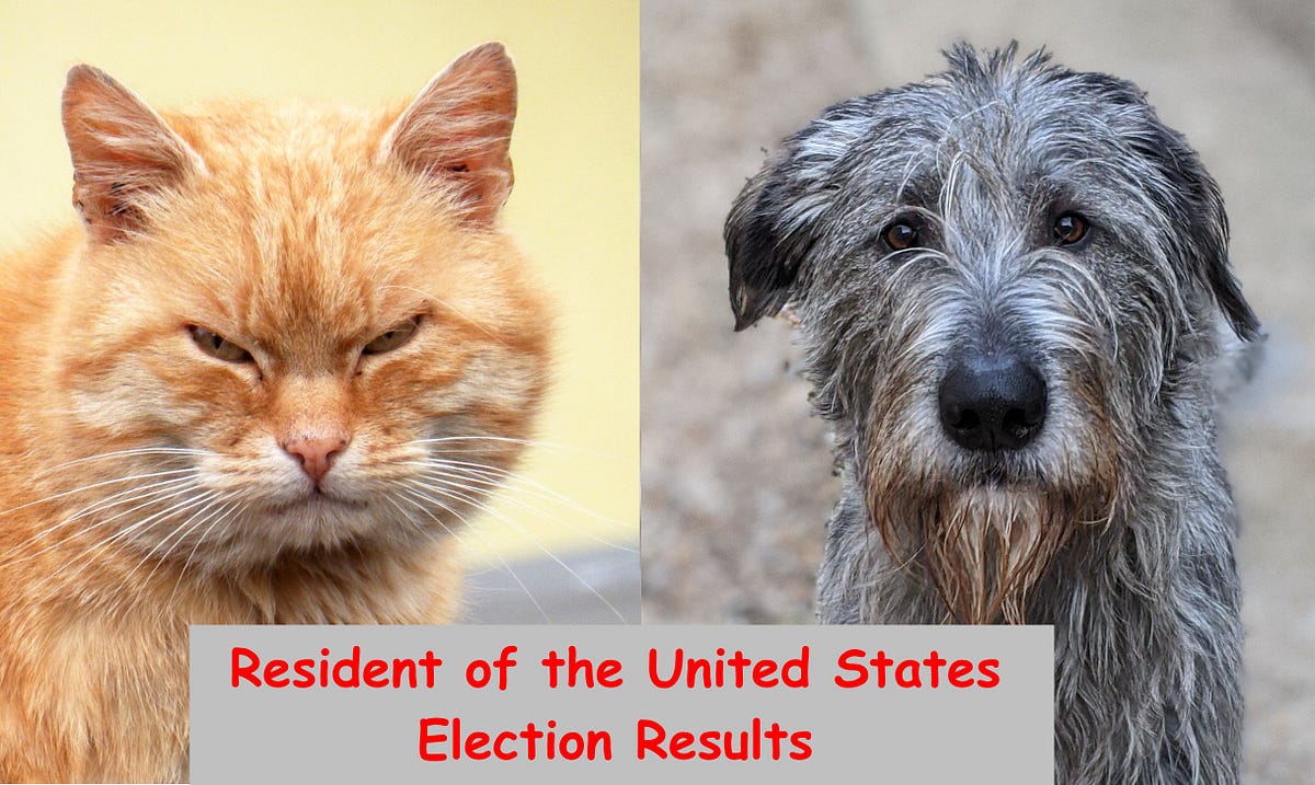 Cats vs Dogs — Who Won the 2020 Resident of the United States Election ...