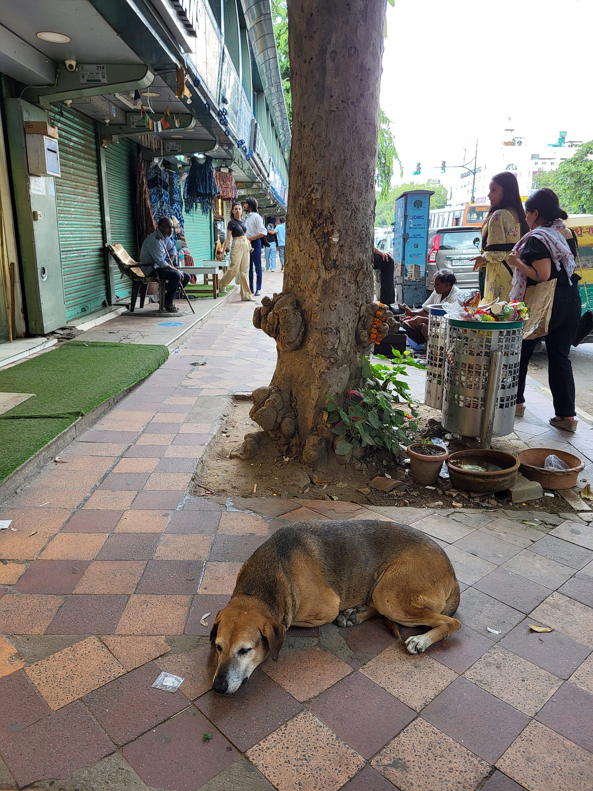 Making it through Life. Social media is a unique addition to… | by ...