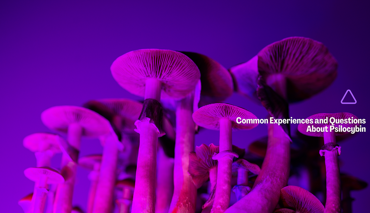 Common Experiences and Questions About Psilocybin | by Natalya ...