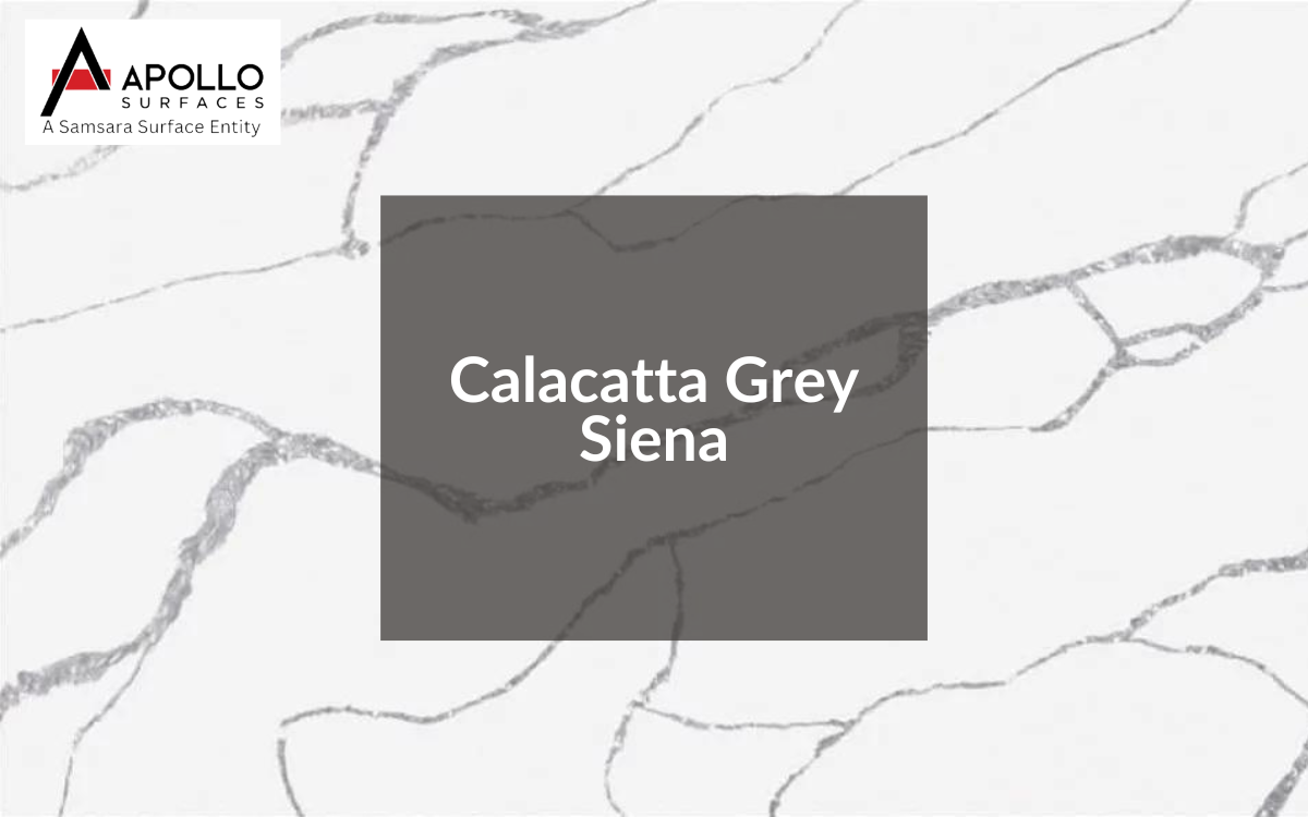 Calacatta Gray Siena-Apollo Surfaces-Midwest USA. - Apollo Surfaces ...