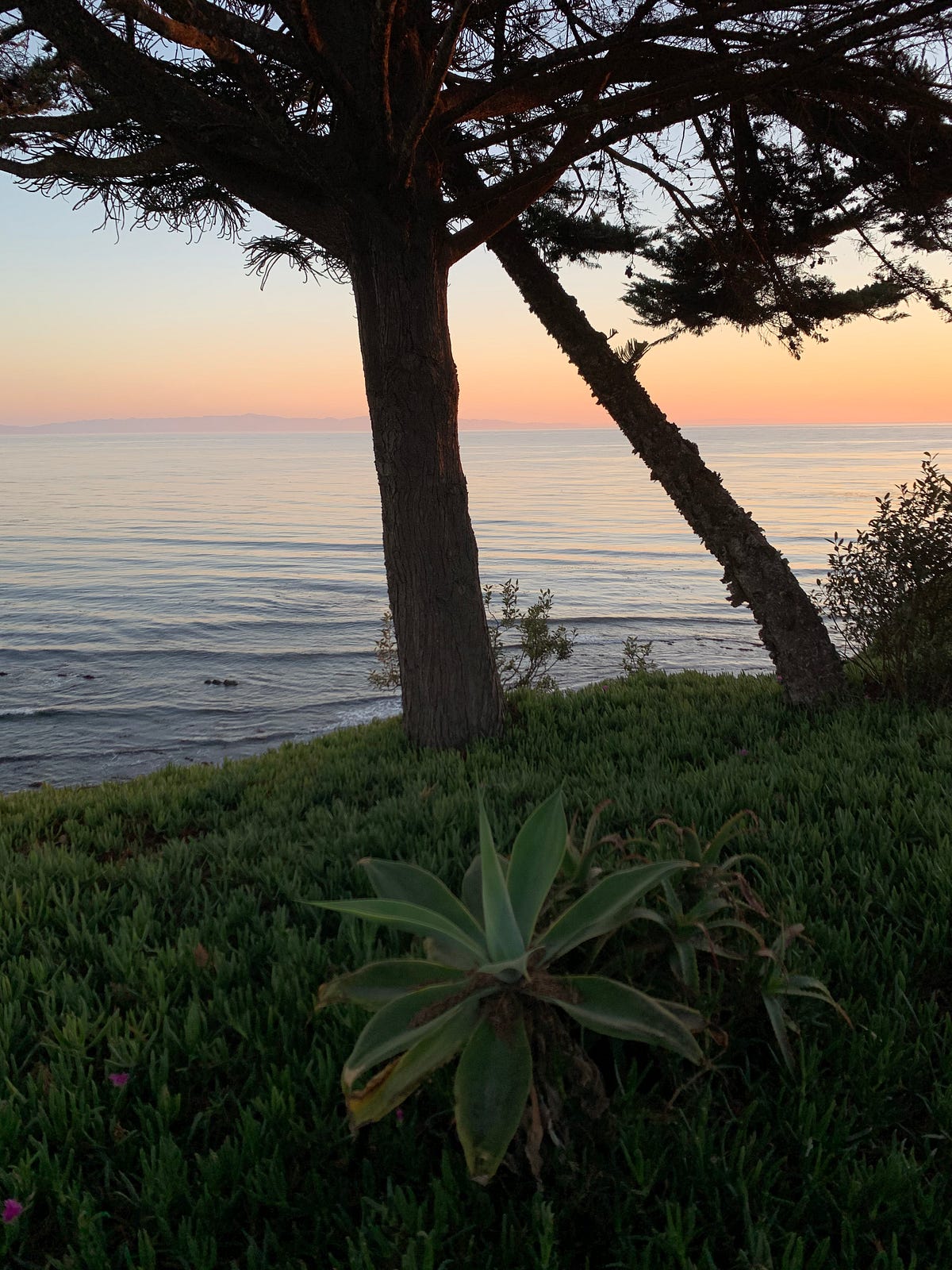 Dodging Danger. It’s a dangerous thing in this life | by Tamara ...