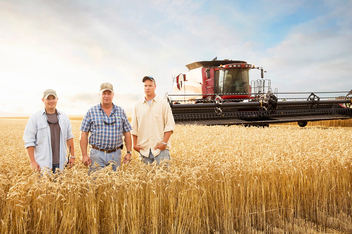 Agriculture Jobs: Exploring Opportunities and Salaries - Yuhu Jobs ...