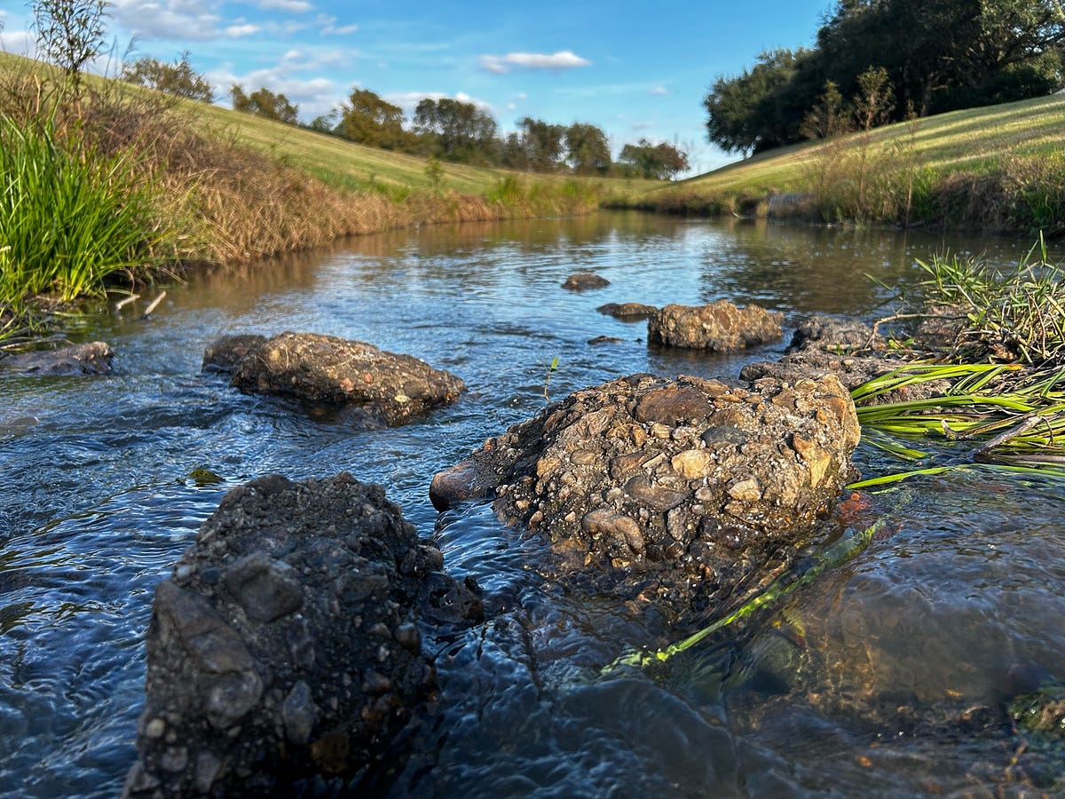 Where the Water Meets the Shore. A juxtaposition that is so palpable ...