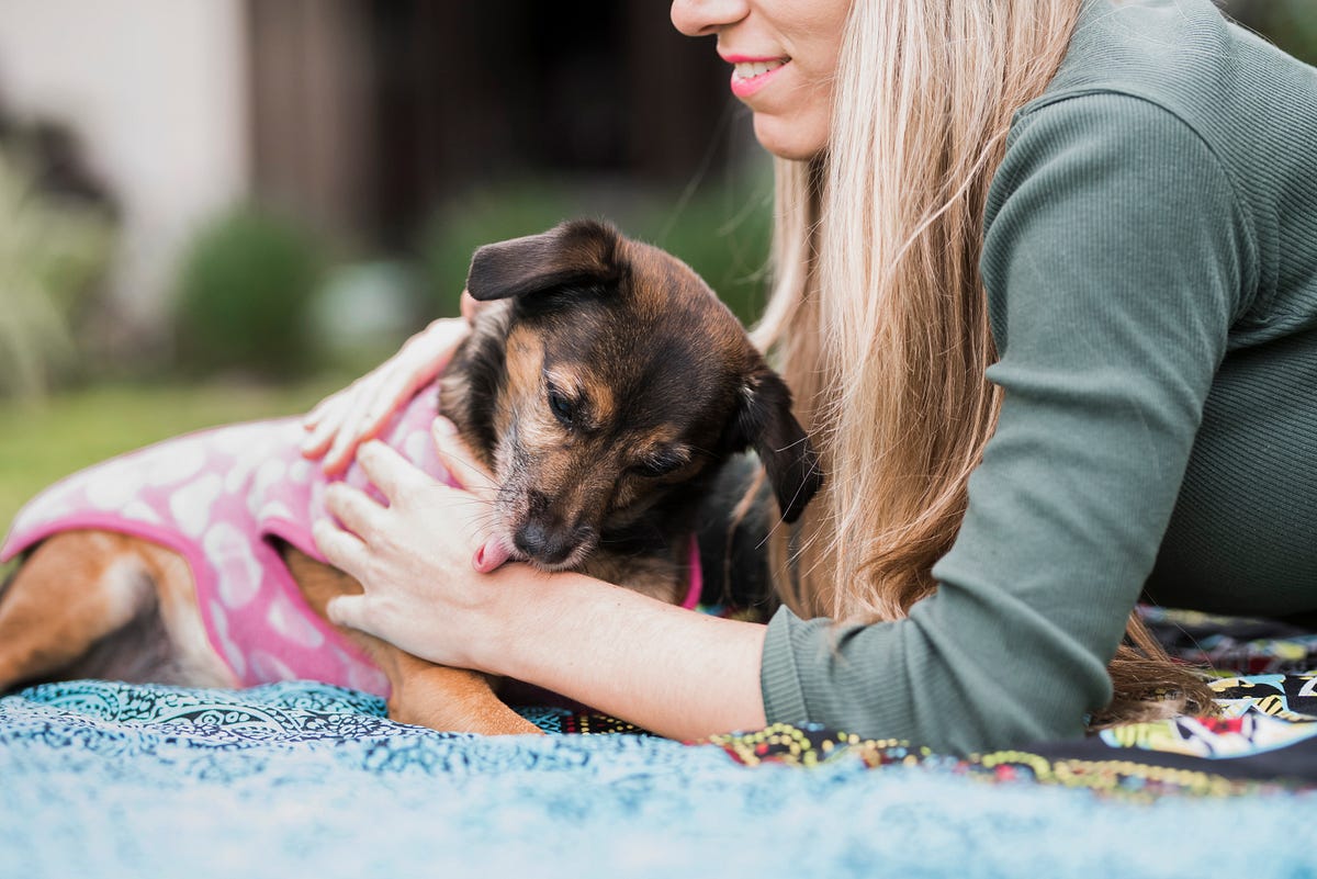 How to Calm a Dog Down Instantly. Practical Tips for Immediate Relief ...