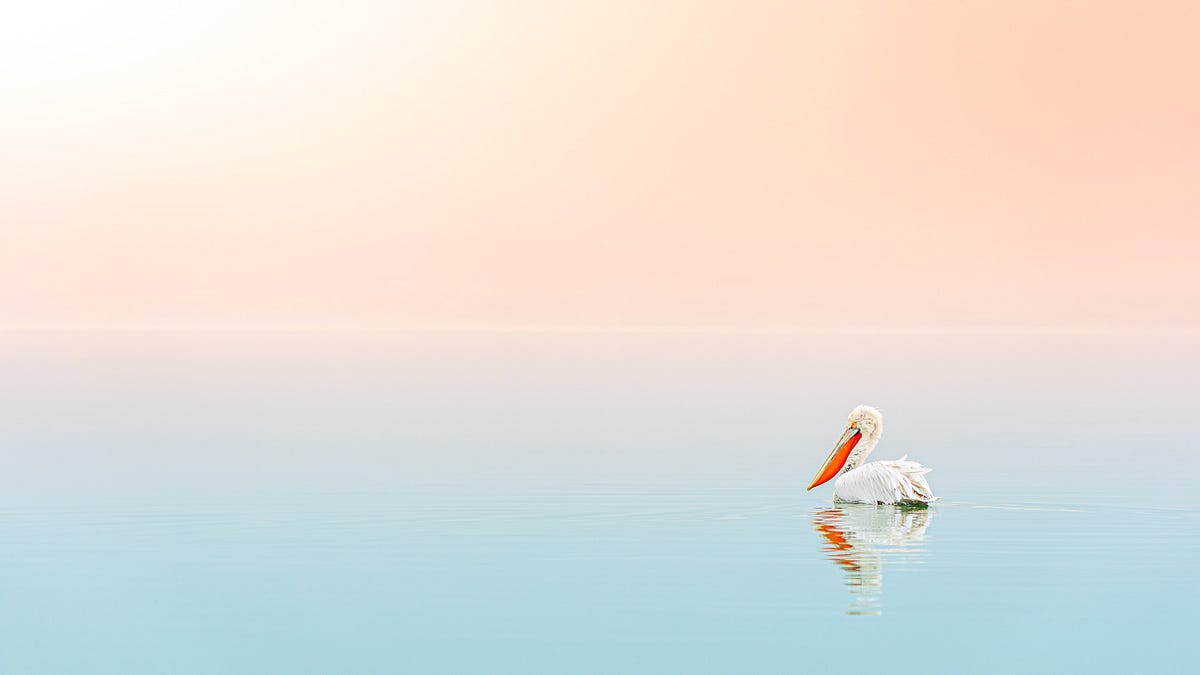 A Short Poem About Writing And Enlightenment | by Paula Romeu | Medium
